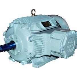 Flameproof (FLP) Junction boxes/enclosures - SIRUS