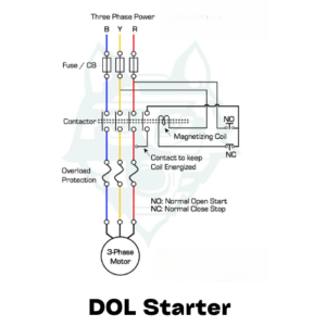 Installation & Commissioning Procedures 3 Phase AC Motors